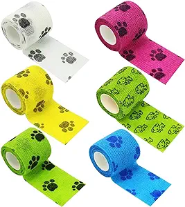 DIY Simple Dog Urine Collection Stick (No Bending Down!) – Stuff!