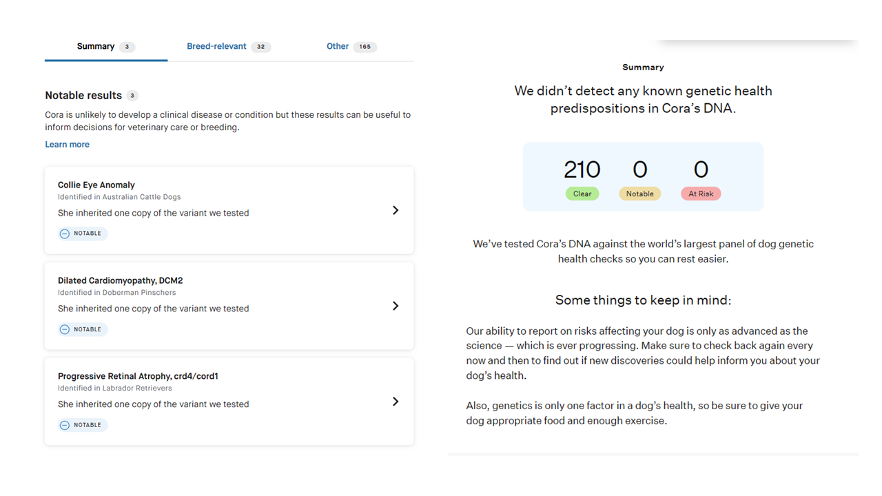 Embark vs. Wisdom Panel Dog DNA Tests – Stuff!