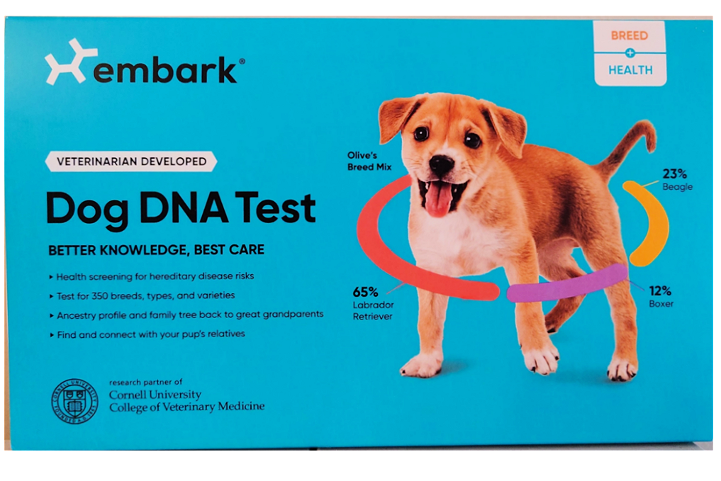 Embark vs. Wisdom Panel Dog DNA Tests – Stuff!