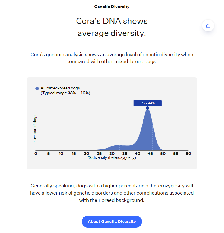 Embark vs. Wisdom Panel Dog DNA Tests – Stuff!